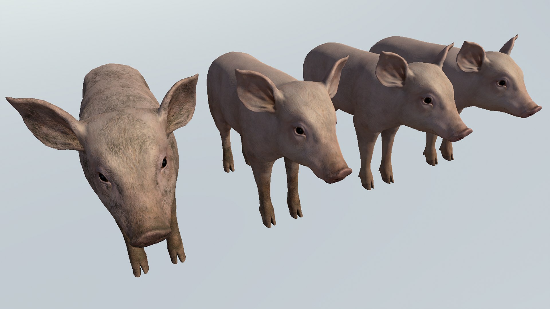 Piggy 3D Model - TurboSquid 1938389