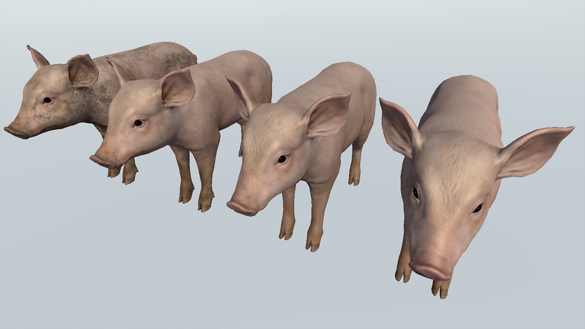 Piggy 3D Model - TurboSquid 1938389