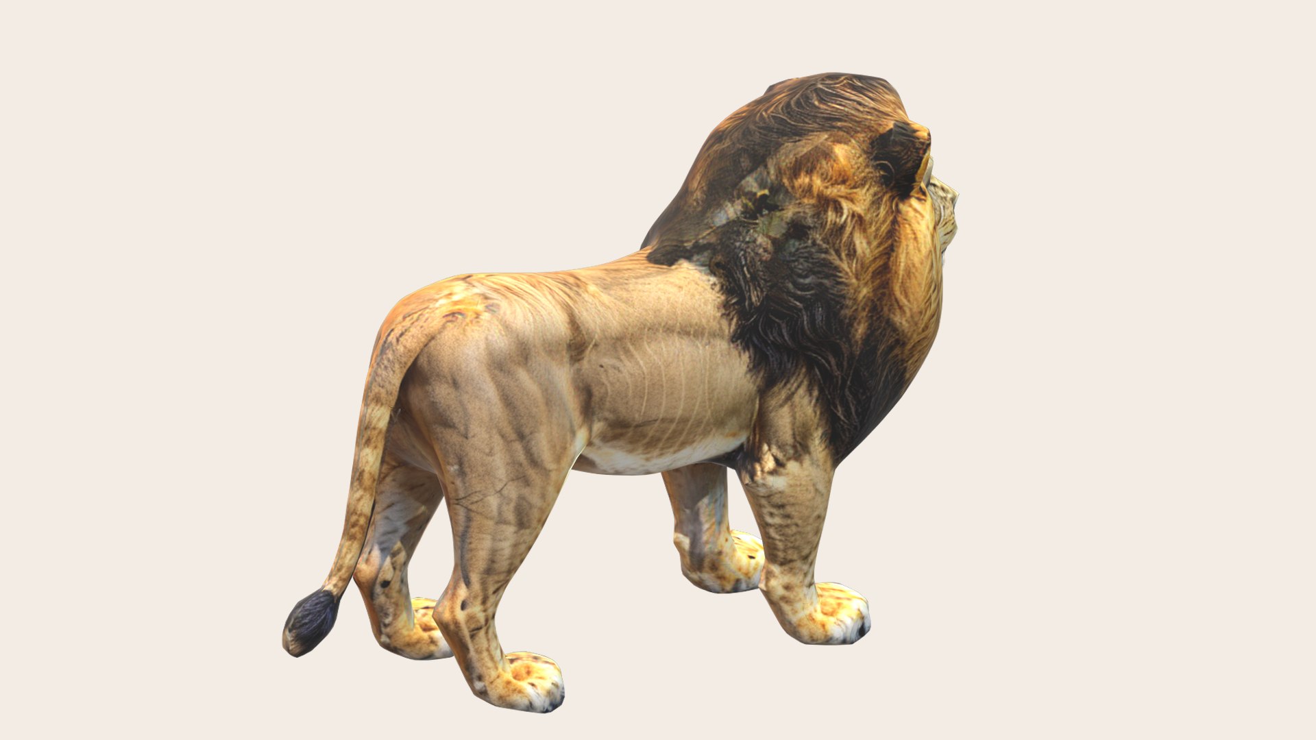 Lion 3D Model - TurboSquid 2219921
