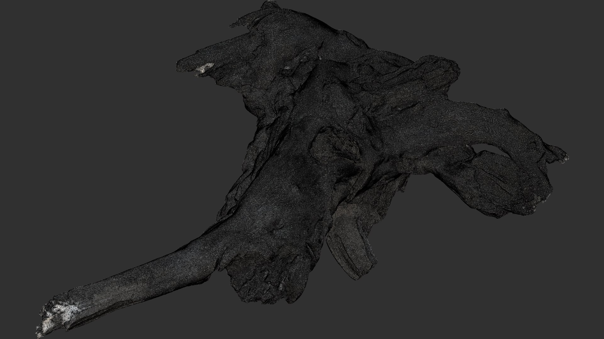 Tree Root 3D Scan 3D model - TurboSquid 2146092