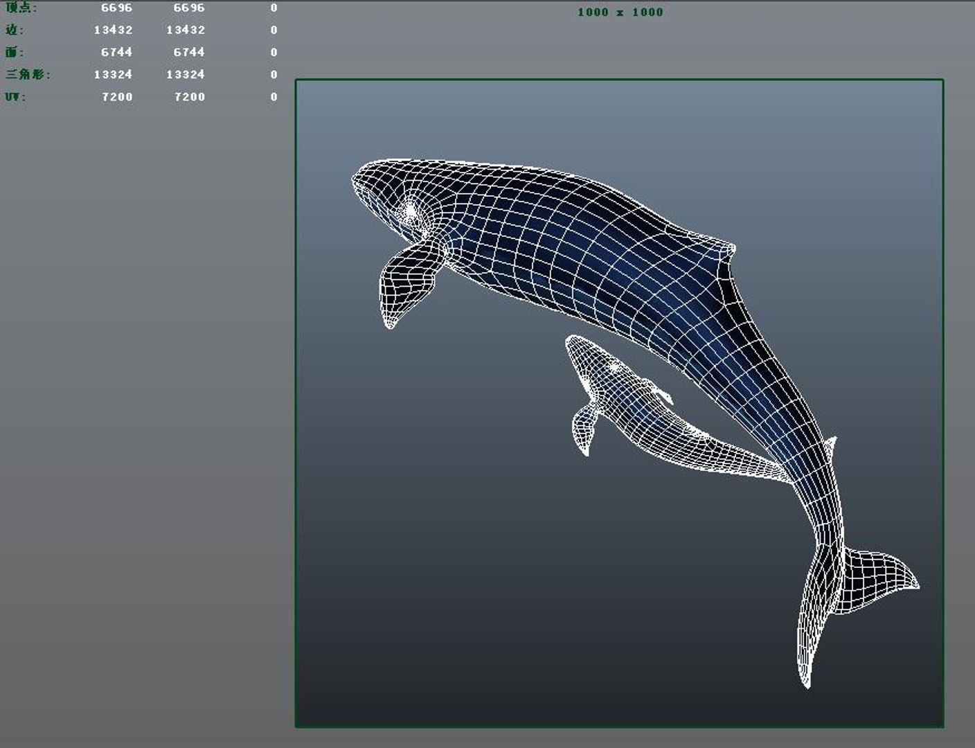 Whales Blue Sea Animals 3D - TurboSquid 1654047