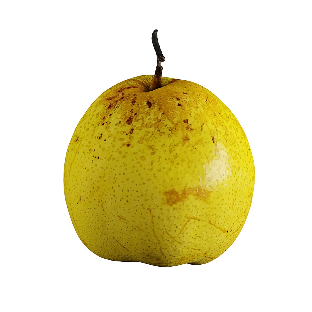 Pear 3D Model - TurboSquid 2057150