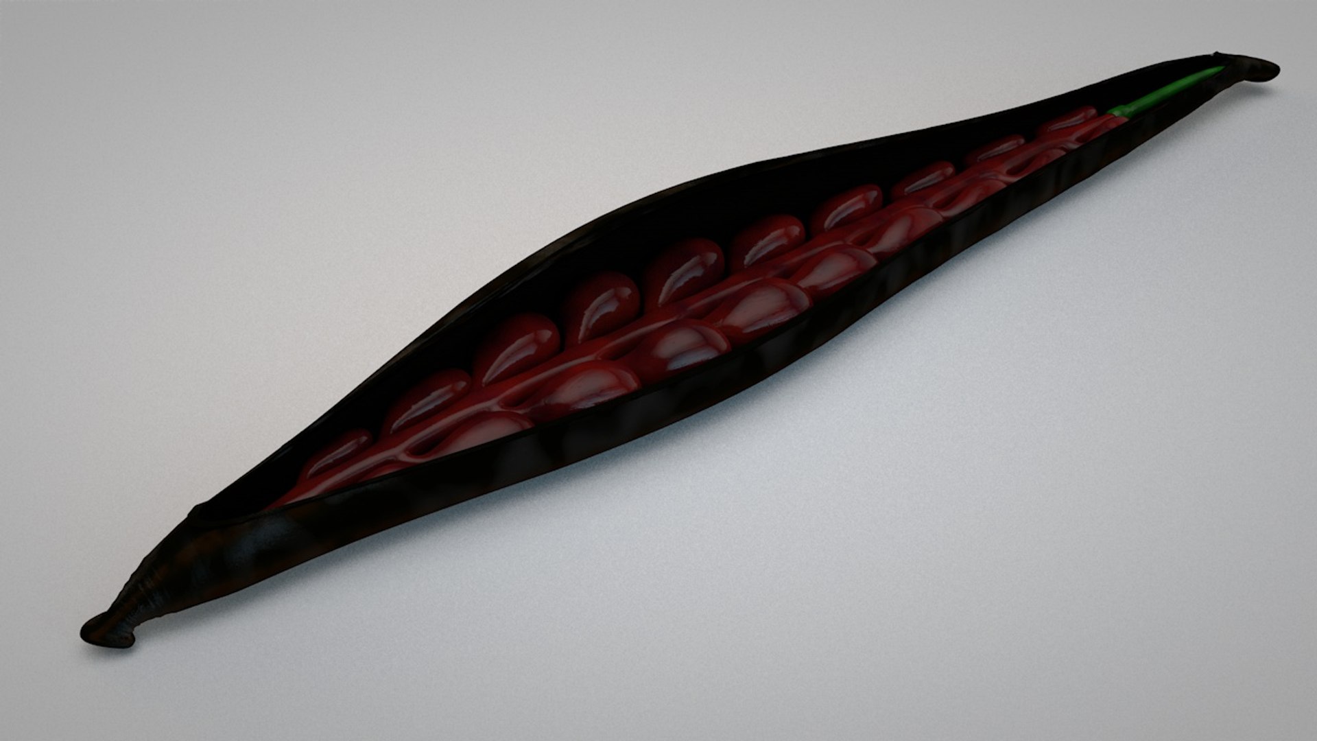 Leech 3d Model