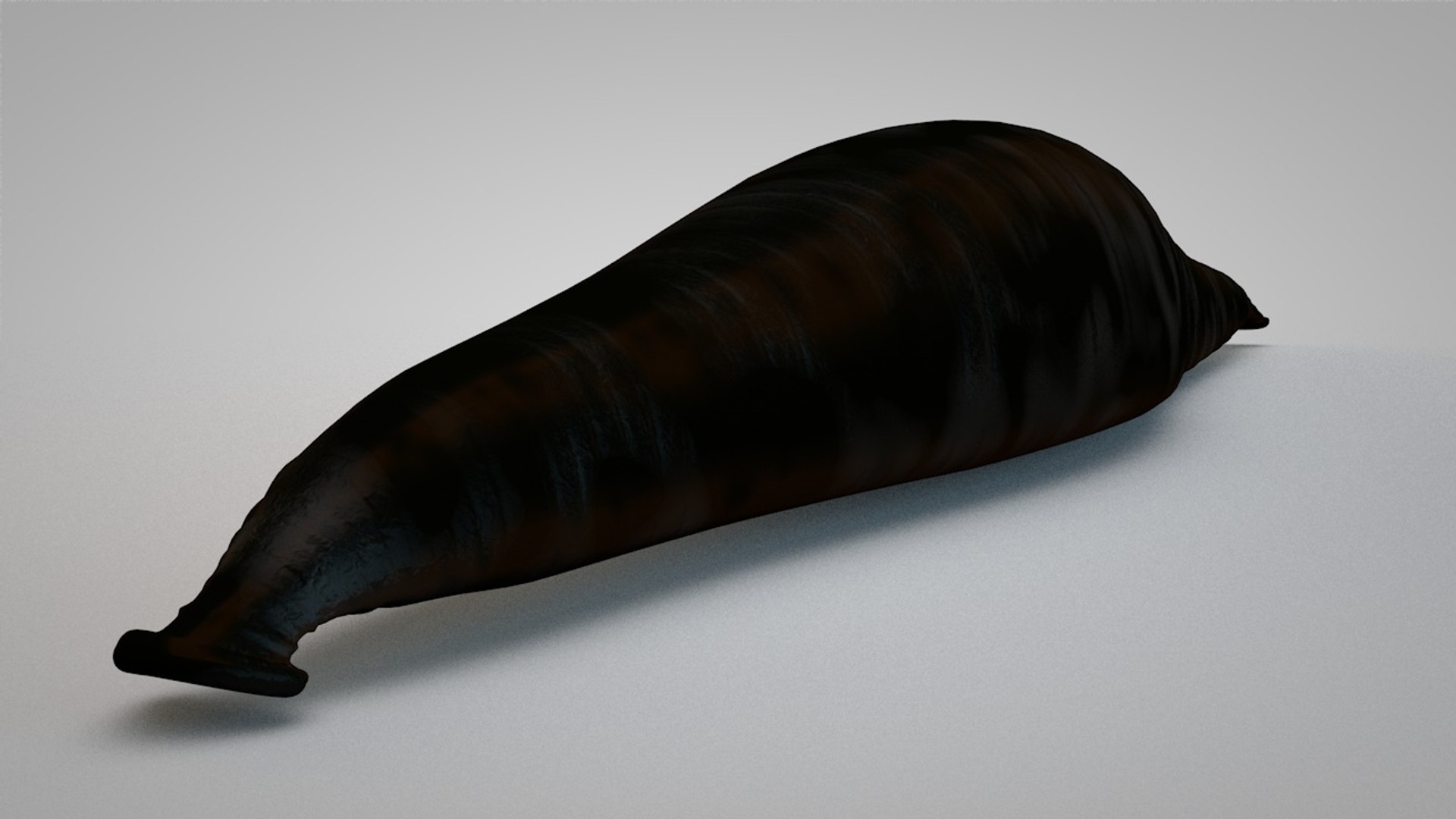 Leech 3d Model