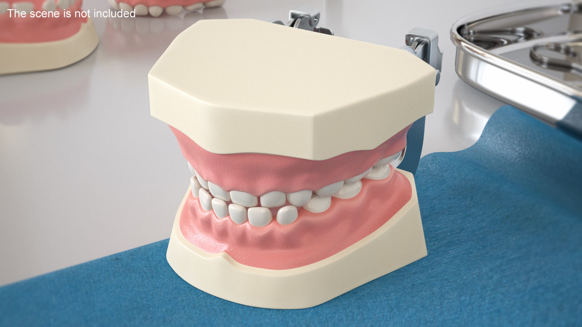 3D Model Typodont Teaching Studying Model With Removable Underbite ...