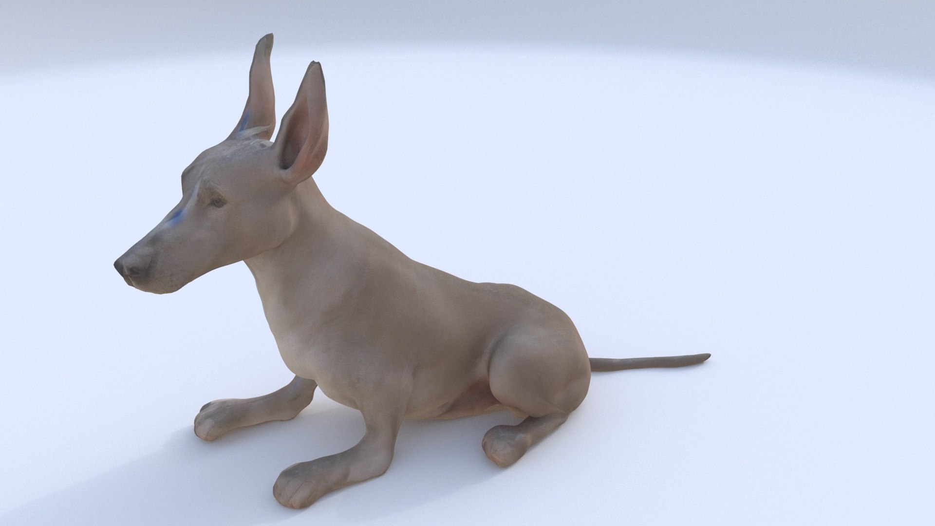 23 3D Model Of Dogs Collection 3D - TurboSquid 2333773