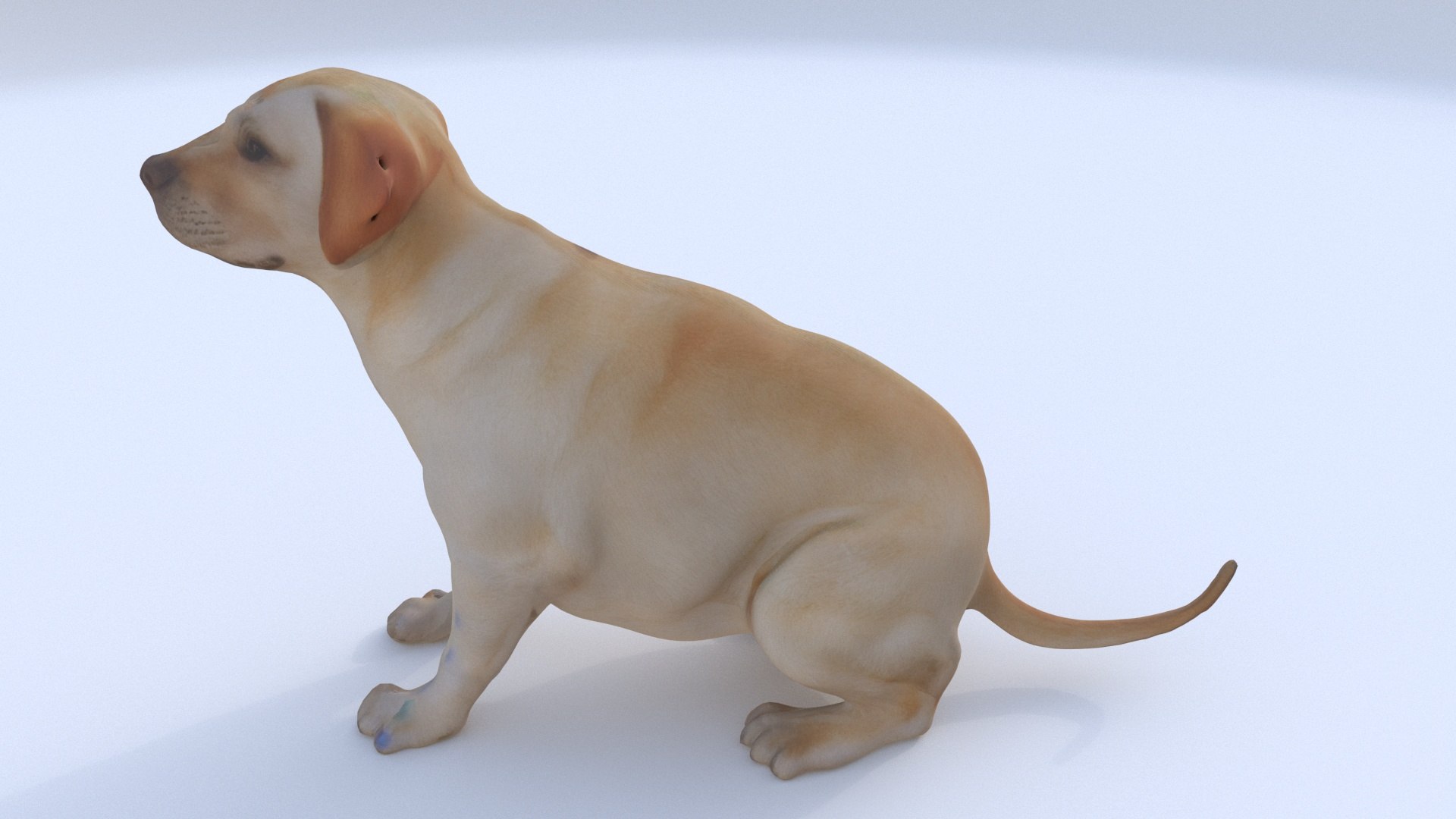 23 3D Model Of Dogs Collection 3D - TurboSquid 2333773