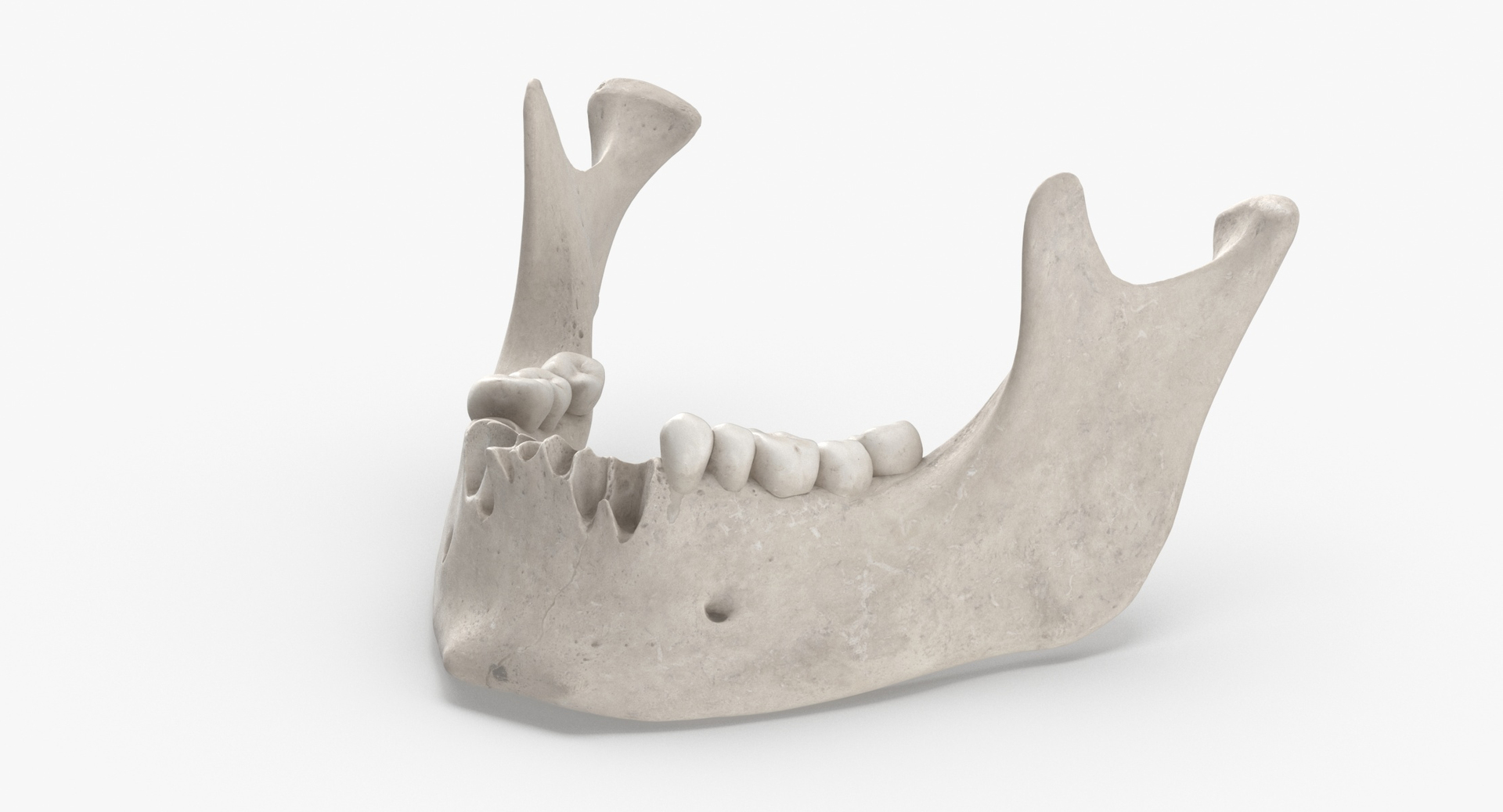 3D Real Human Jawbone Mandible Model - TurboSquid 1617501