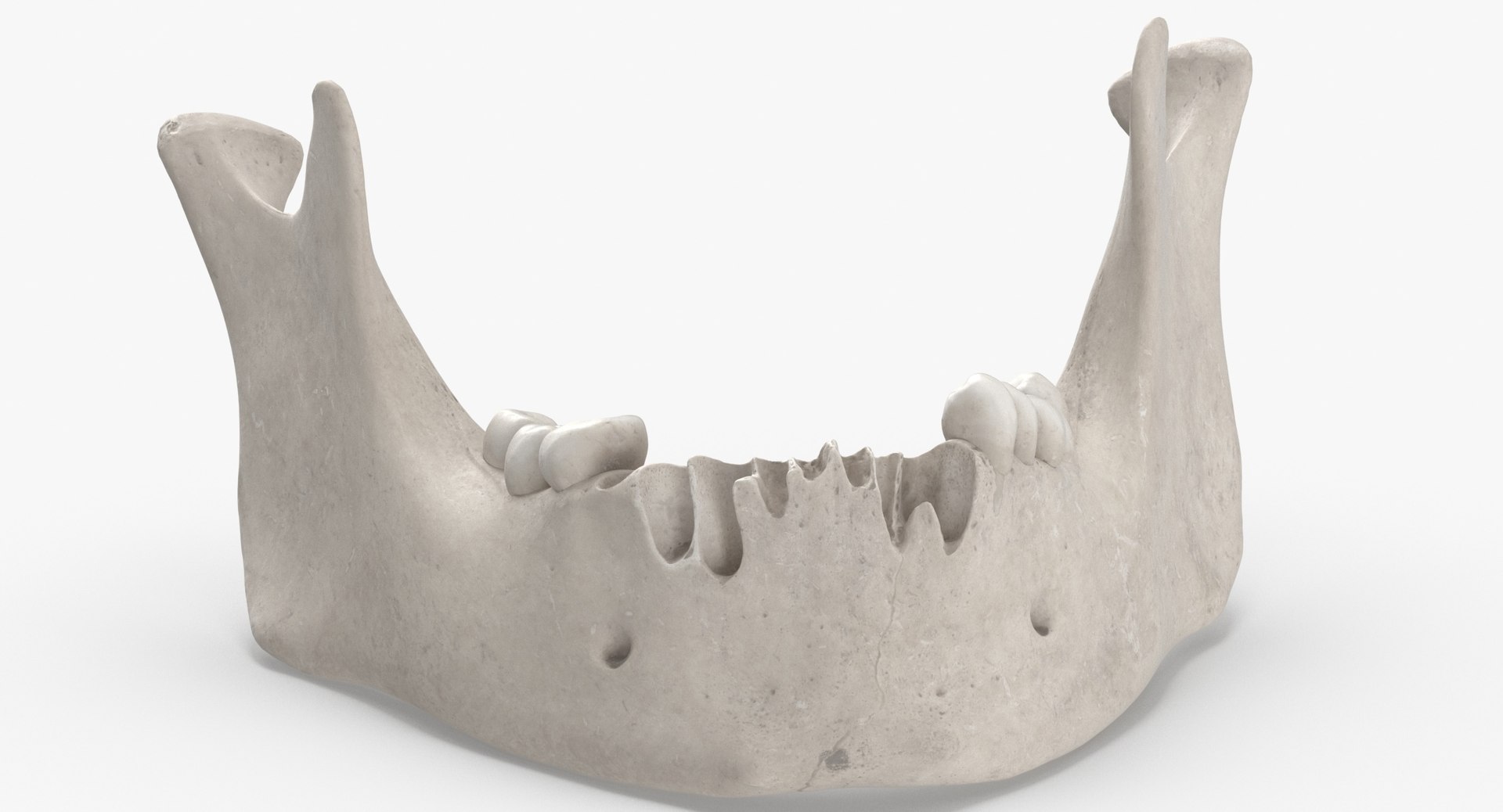 3D Real Human Jawbone Mandible Model - TurboSquid 1617501