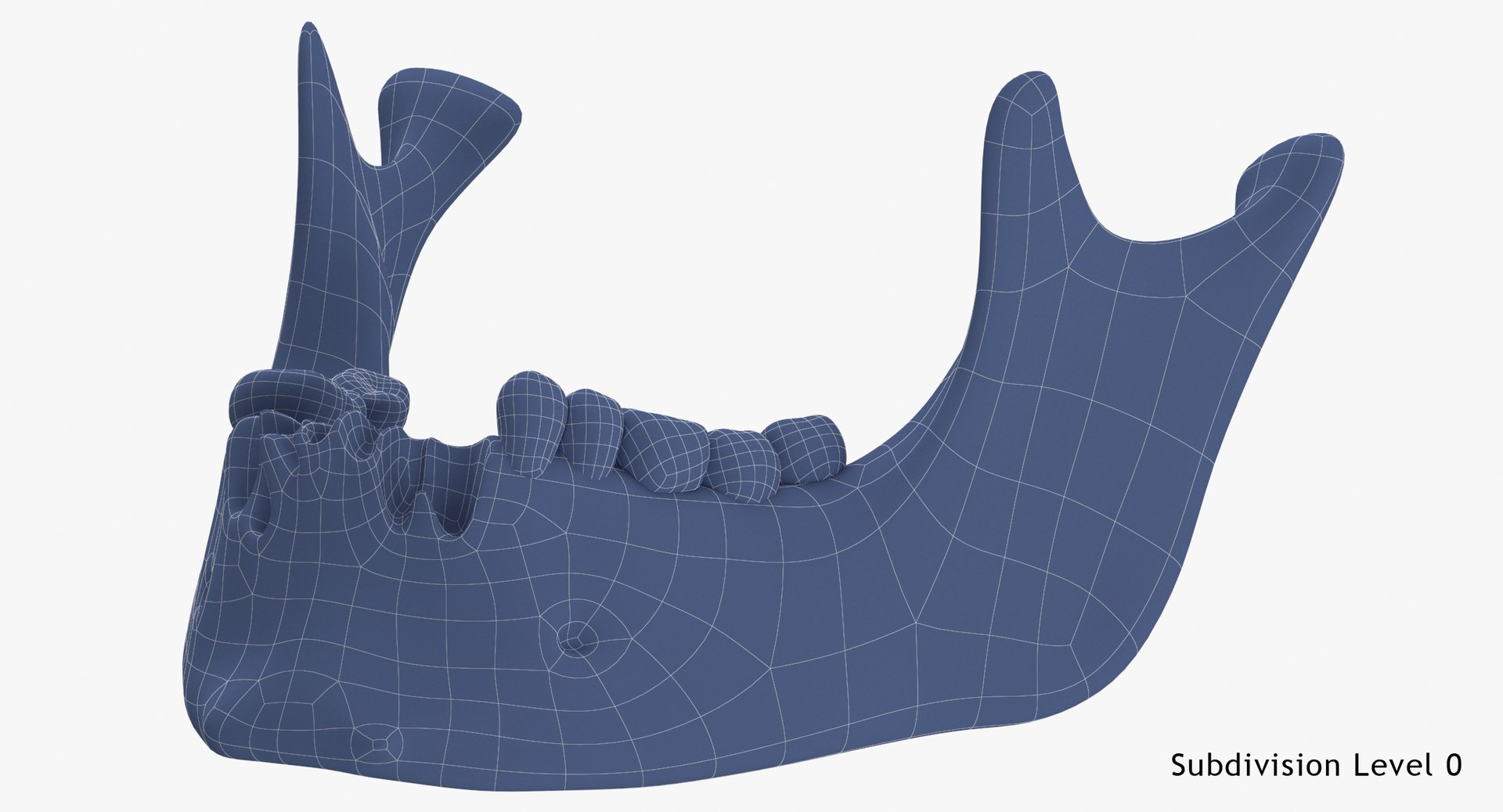 3D real human jawbone mandible model - TurboSquid 1617501