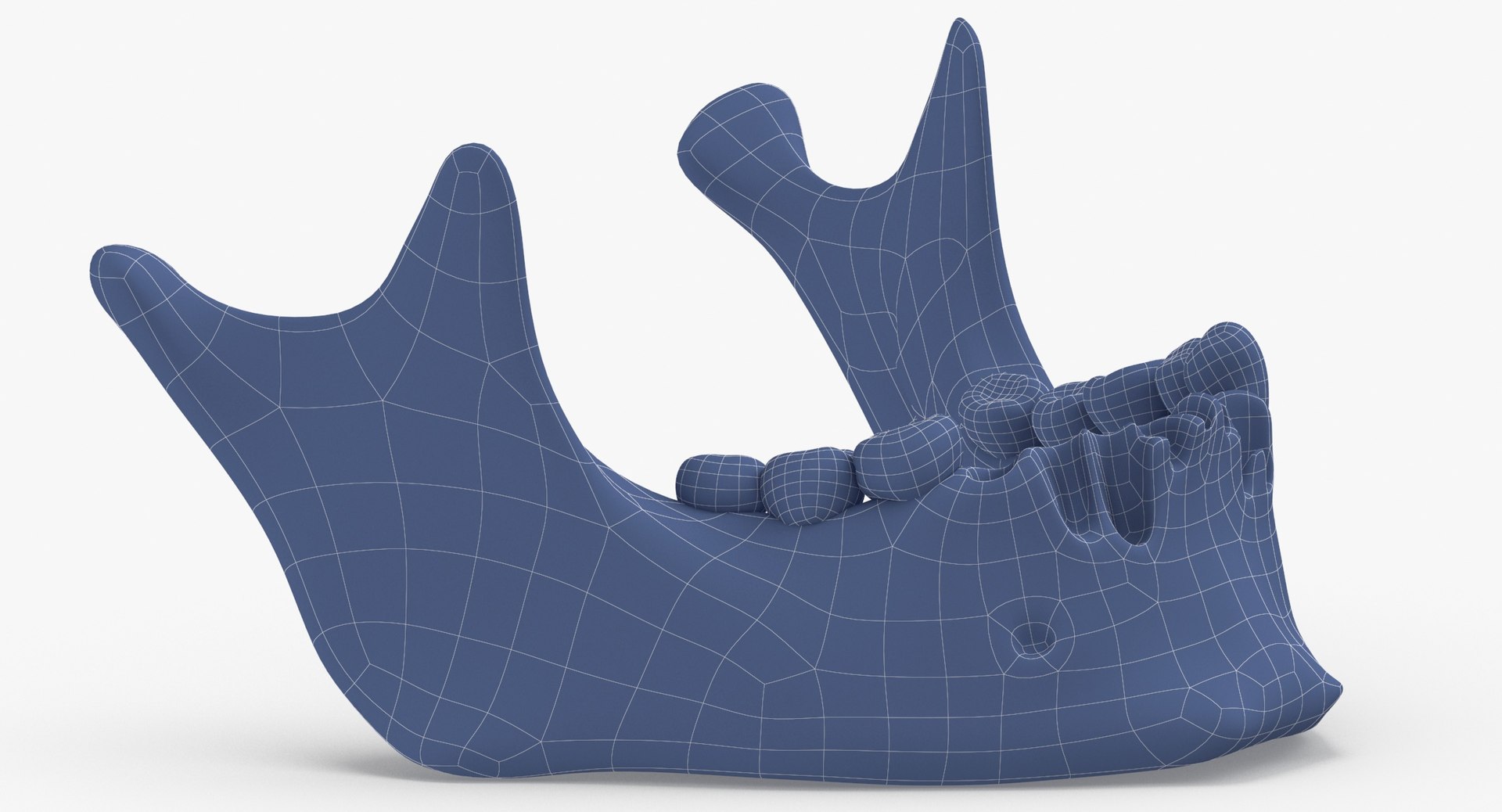 3D real human jawbone mandible model - TurboSquid 1617501
