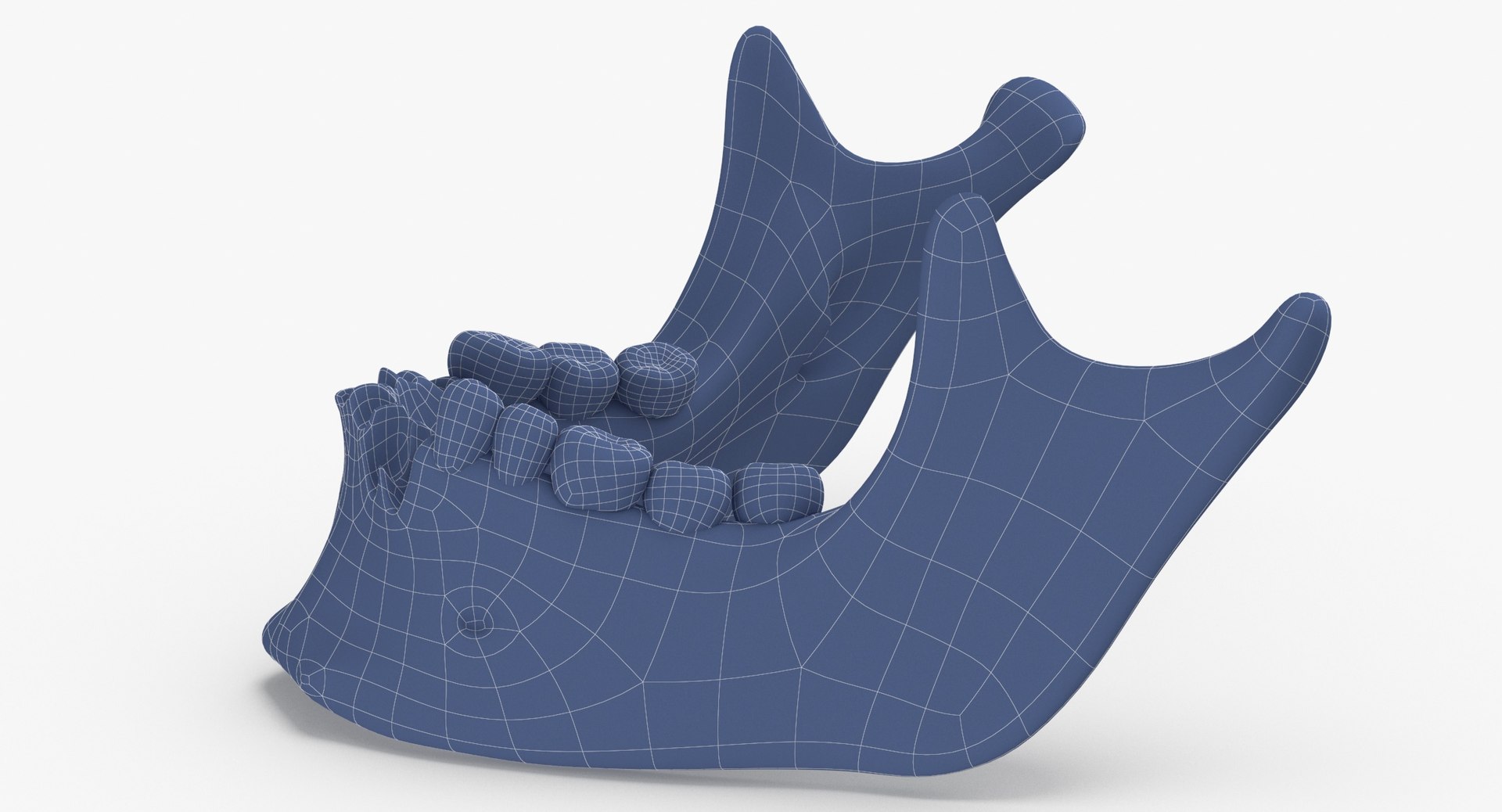 3D real human jawbone mandible model - TurboSquid 1617501