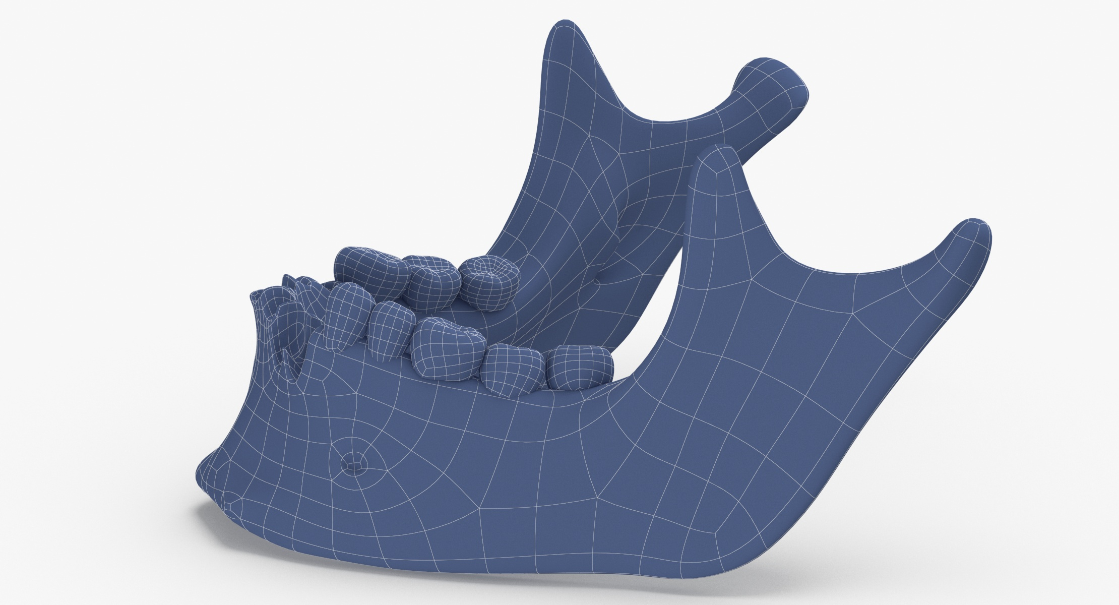 3D real human jawbone mandible model - TurboSquid 1617501