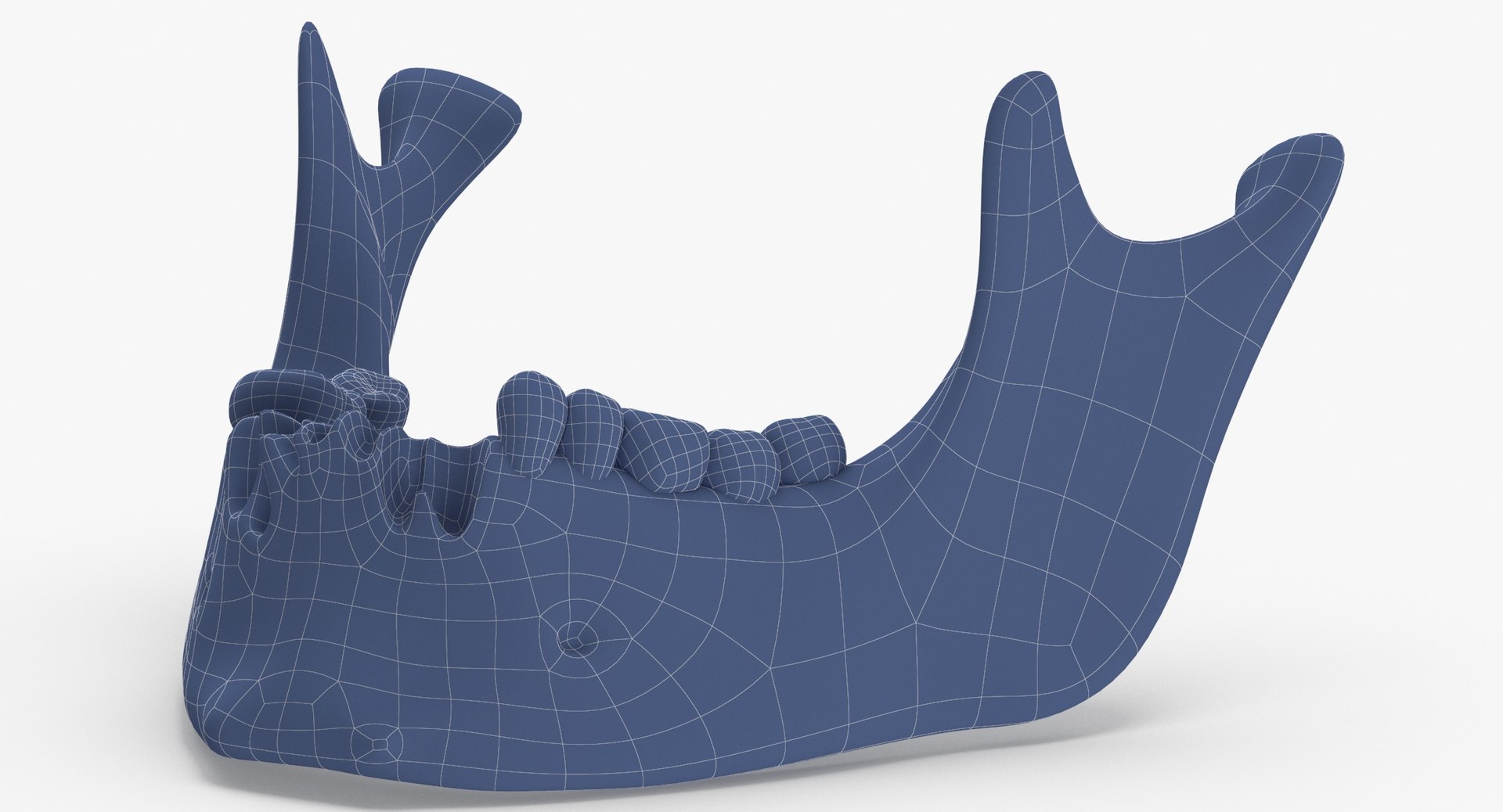 3D Real Human Jawbone Mandible Model - TurboSquid 1617501