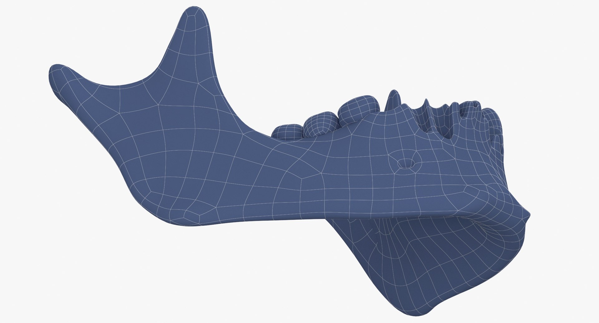 3D real human jawbone mandible model - TurboSquid 1617501