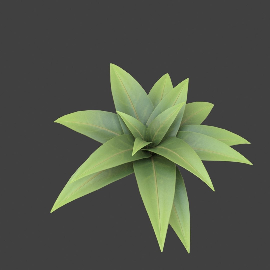 Cartoon Bush Model - TurboSquid 1366511