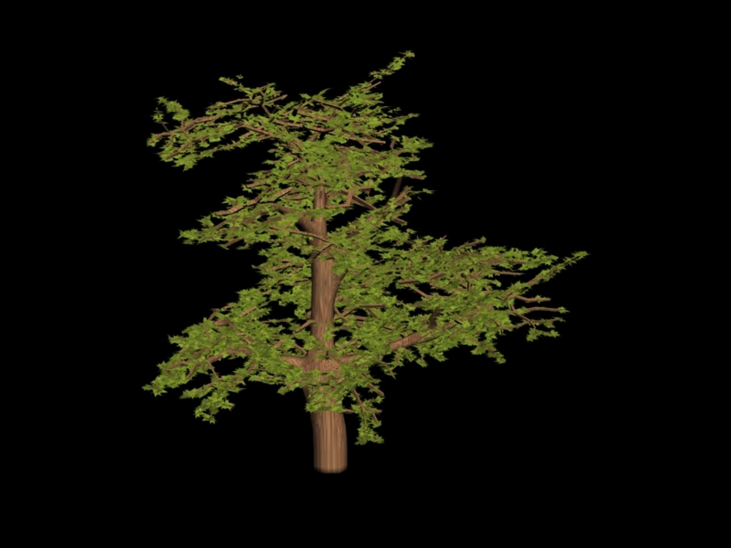 Tree Seeds 3d Max
