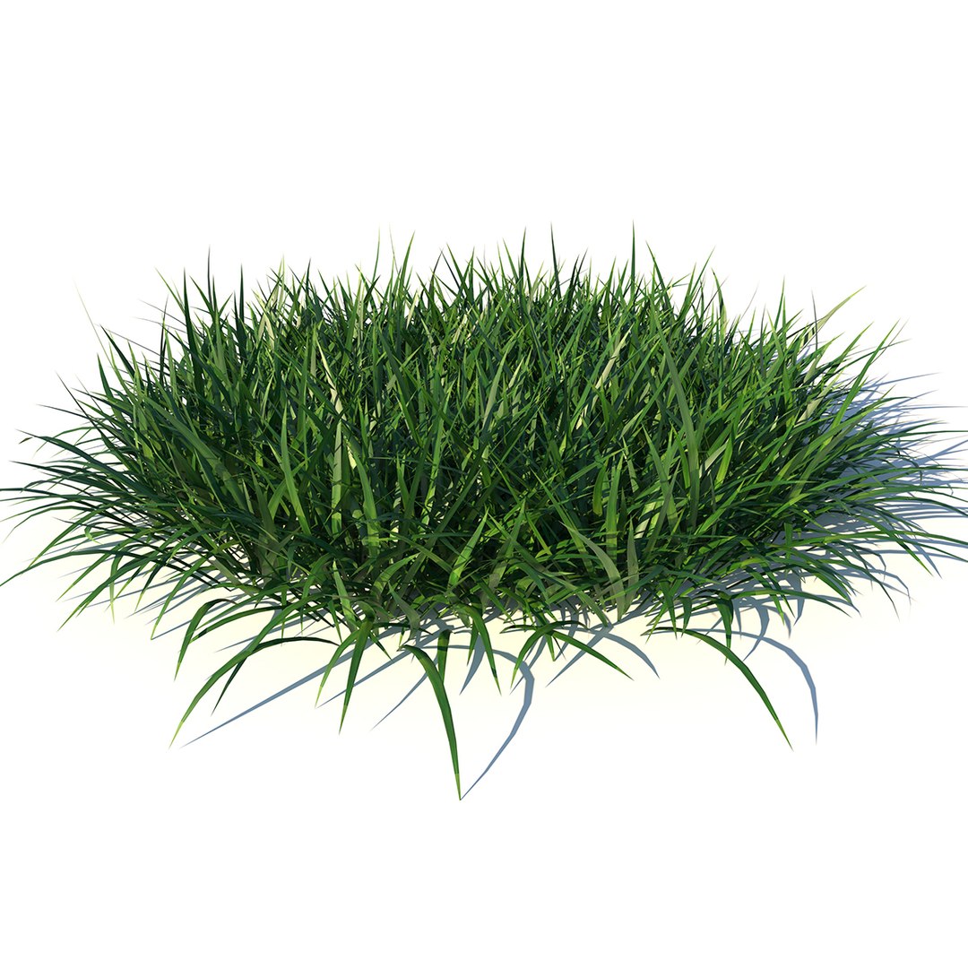 Bundle Grass 3D - TurboSquid 1715604