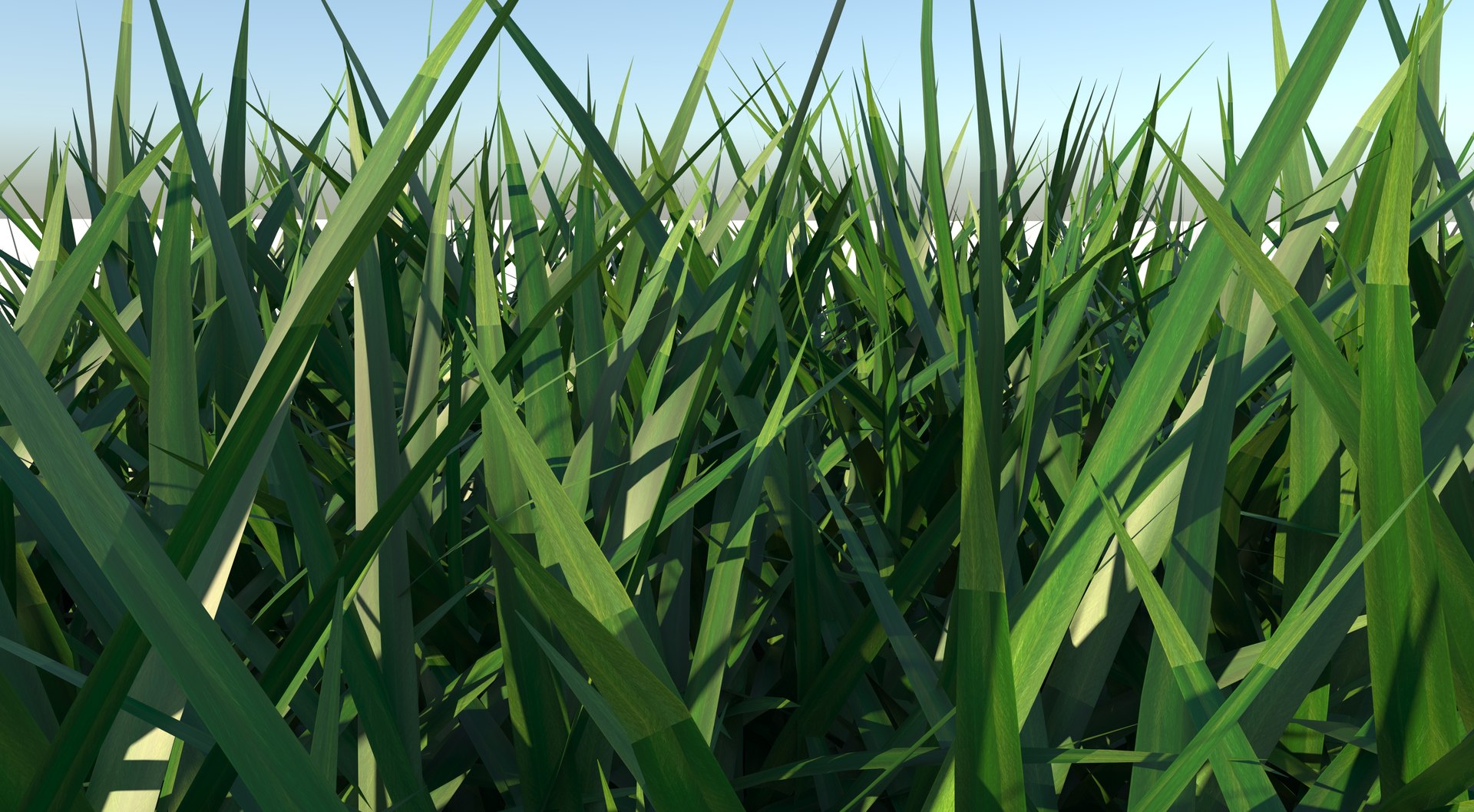 Bundle Grass 3D - TurboSquid 1715604