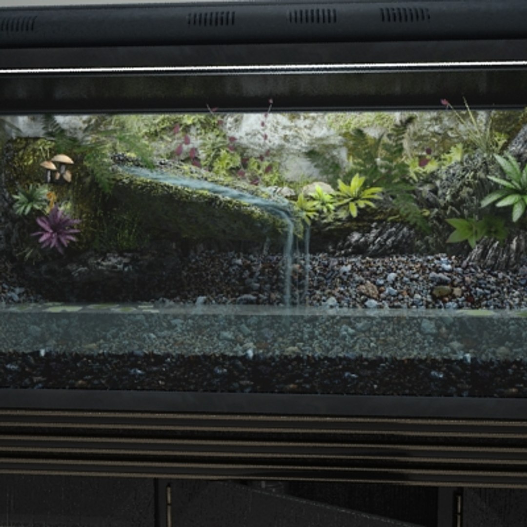 Max Terrarium Vivarium Aquarium