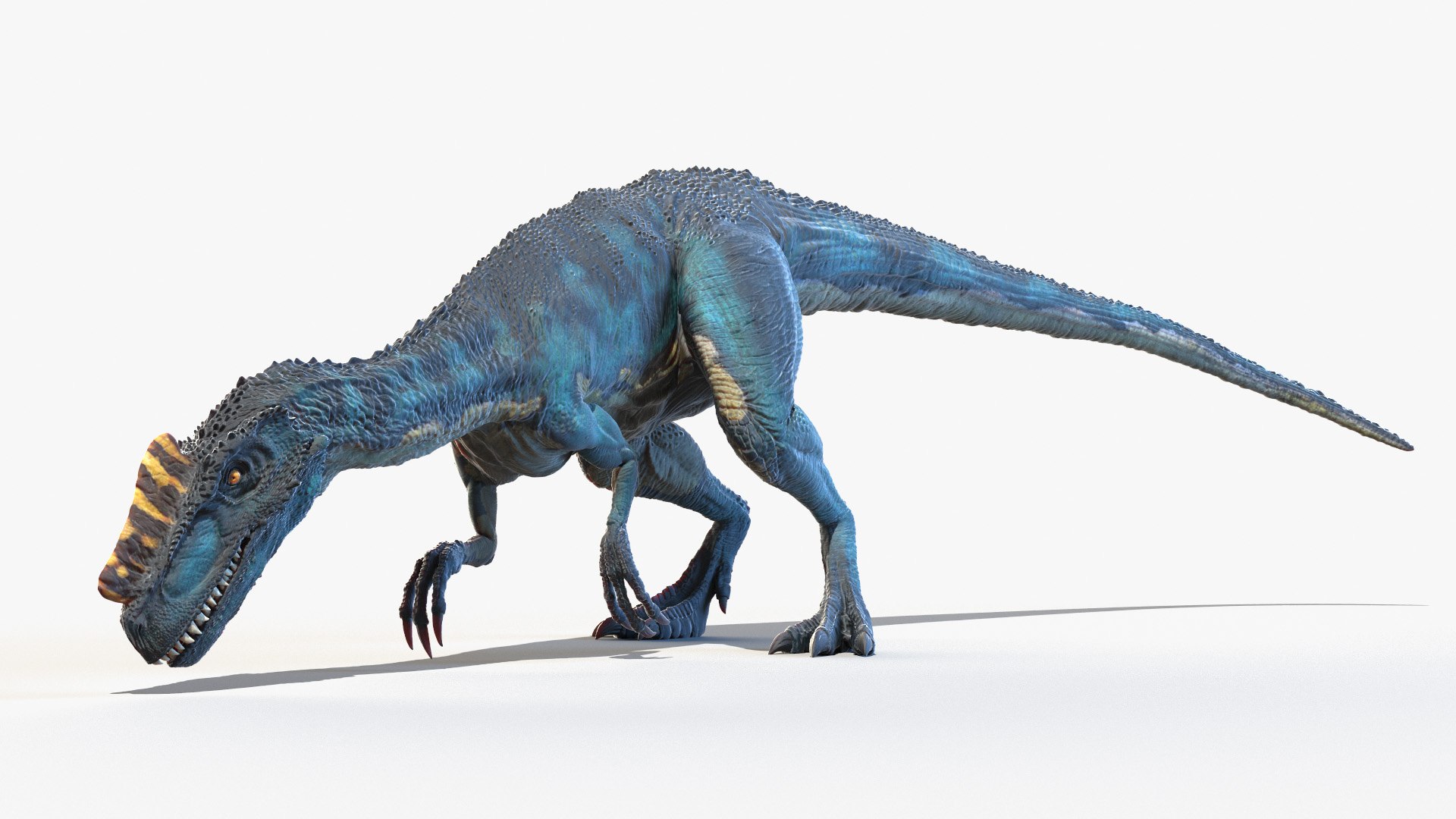 3D Proceratosaurus Animated Model - TurboSquid 1929001