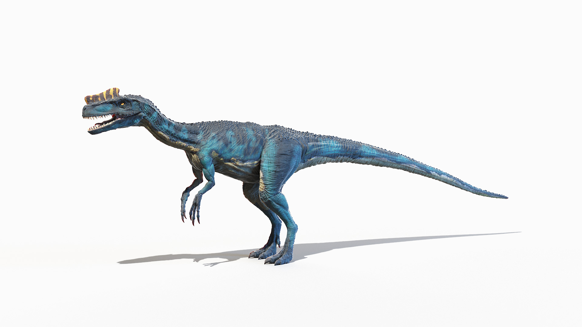 3D Proceratosaurus Animated Model - TurboSquid 1929001