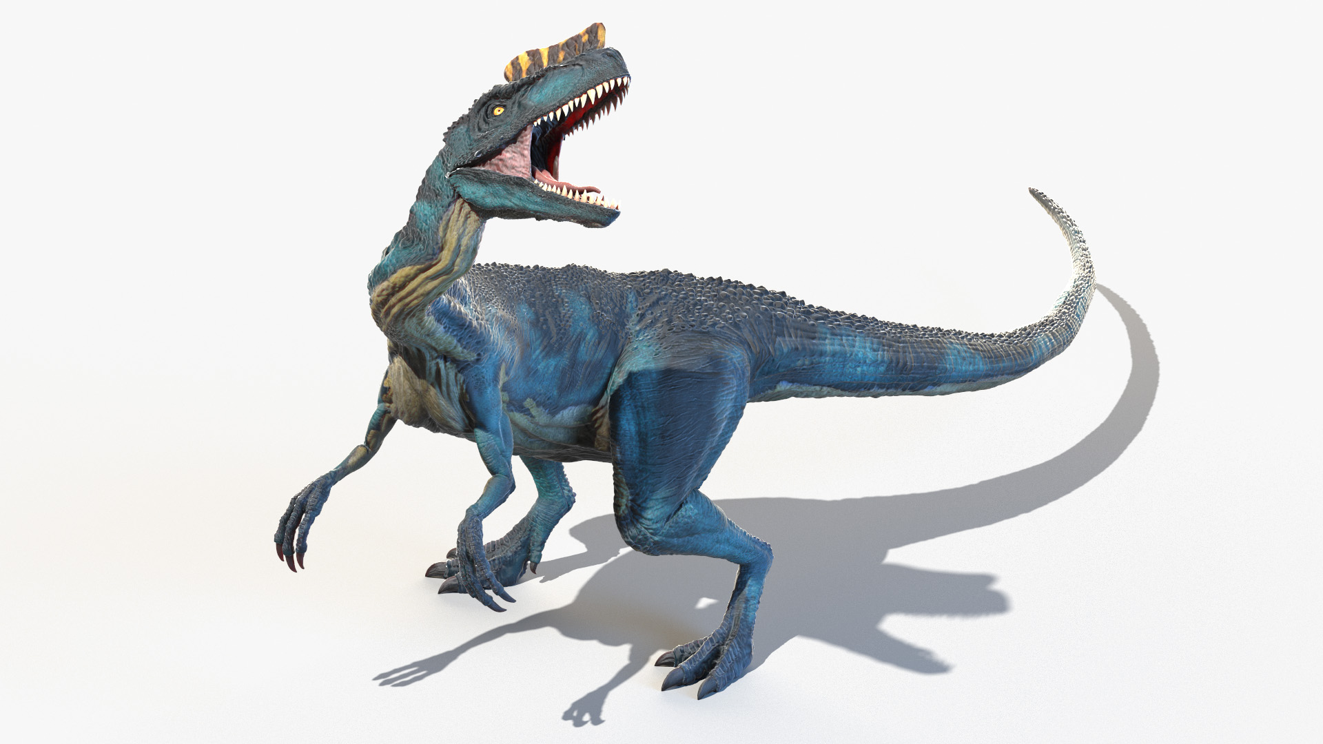 modèle 3D de Proceratosaurus Animé - TurboSquid 1929001