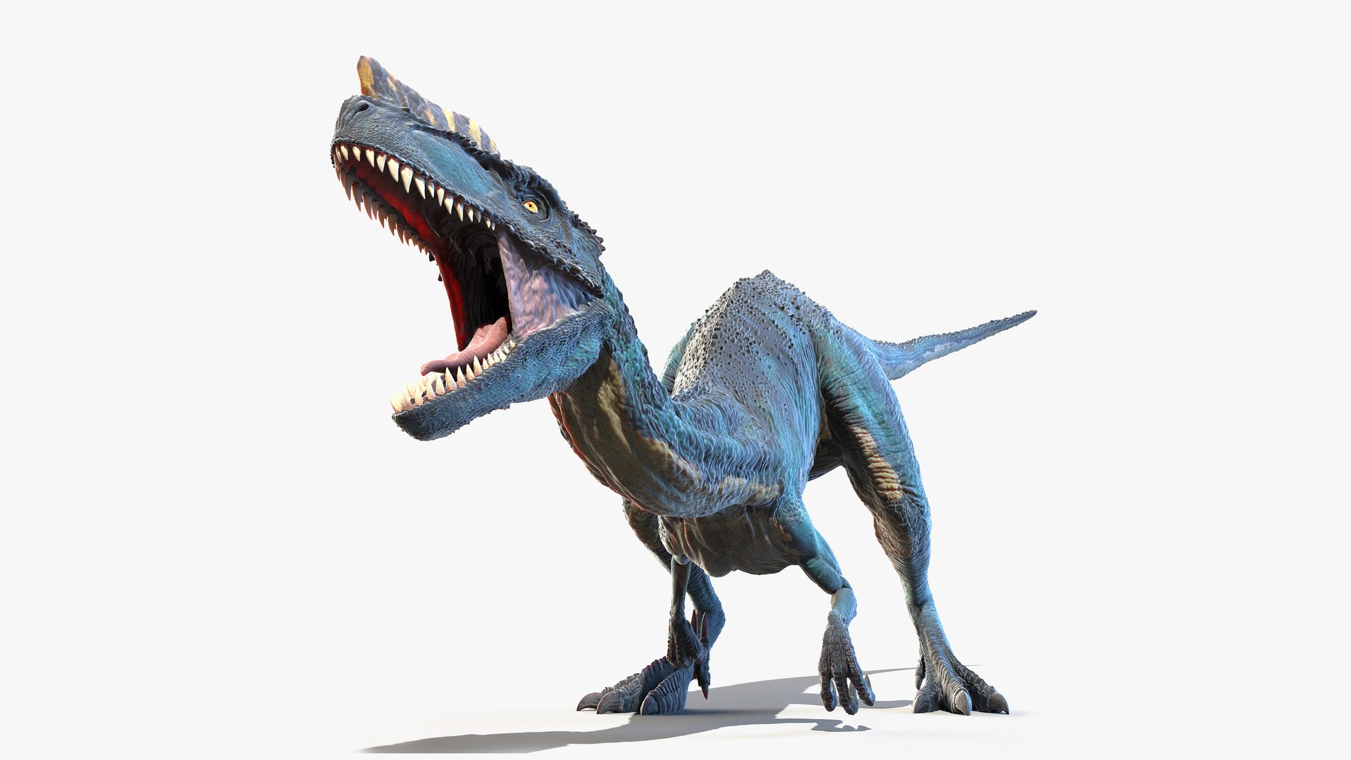 modèle 3D de Proceratosaurus Animé - TurboSquid 1929001