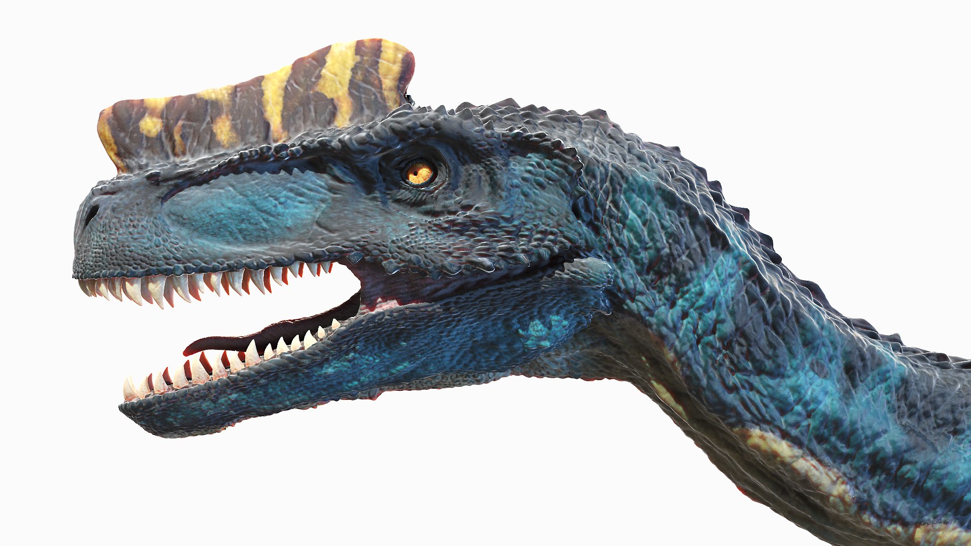 3D Proceratosaurus Animated Model - TurboSquid 1929001