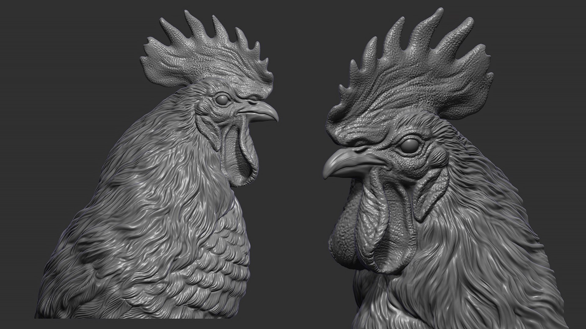 modelo 3d Rooster bust - TurboSquid 2028316