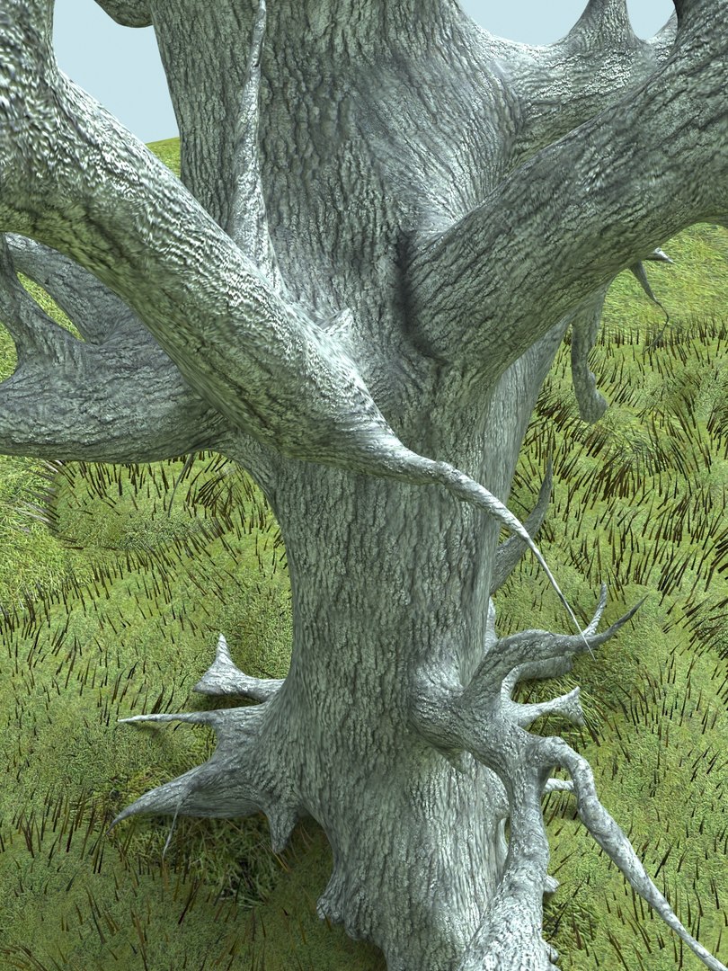 3D Dried Tree - TurboSquid 1513770