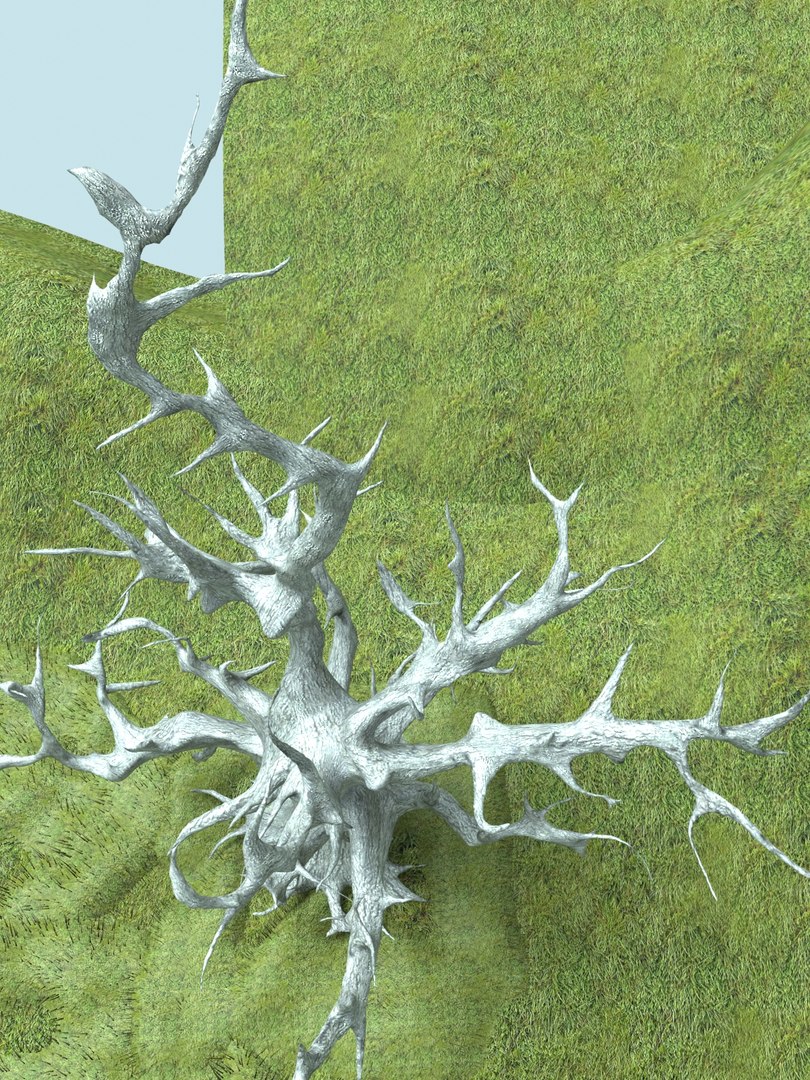 3D Dried Tree - TurboSquid 1513770