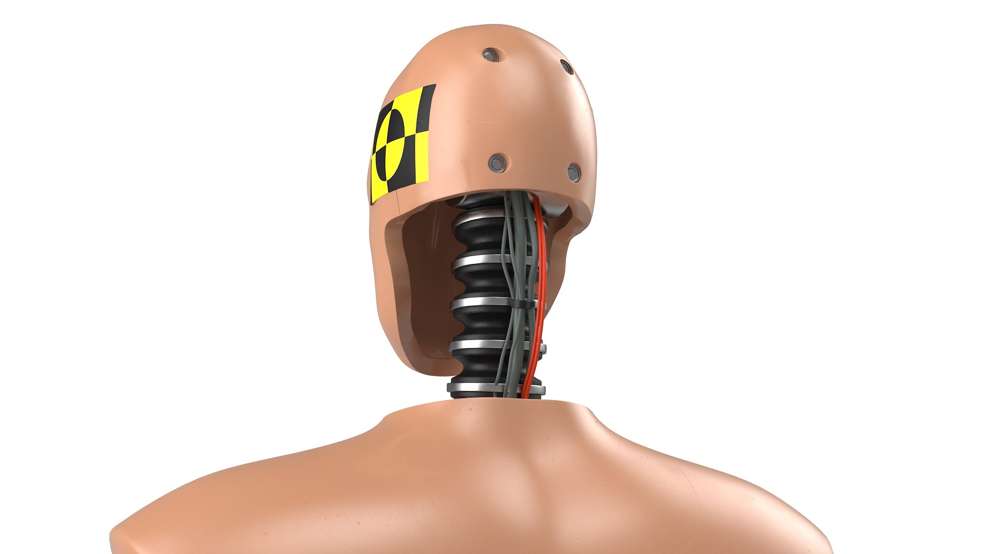 Humanoid Crash Test Dummy Rigged For Cinema 4D Model - TurboSquid 2280711