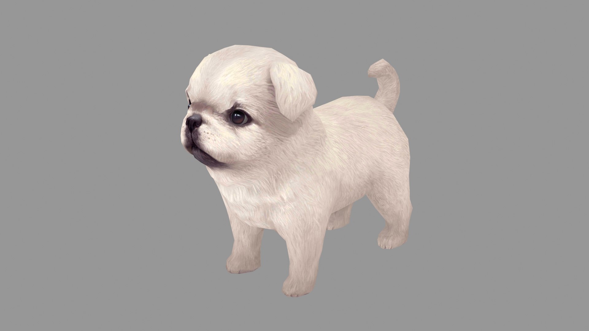Cartoon Pet Puppy - White Paco - Baby Dog Model - TurboSquid 1717792