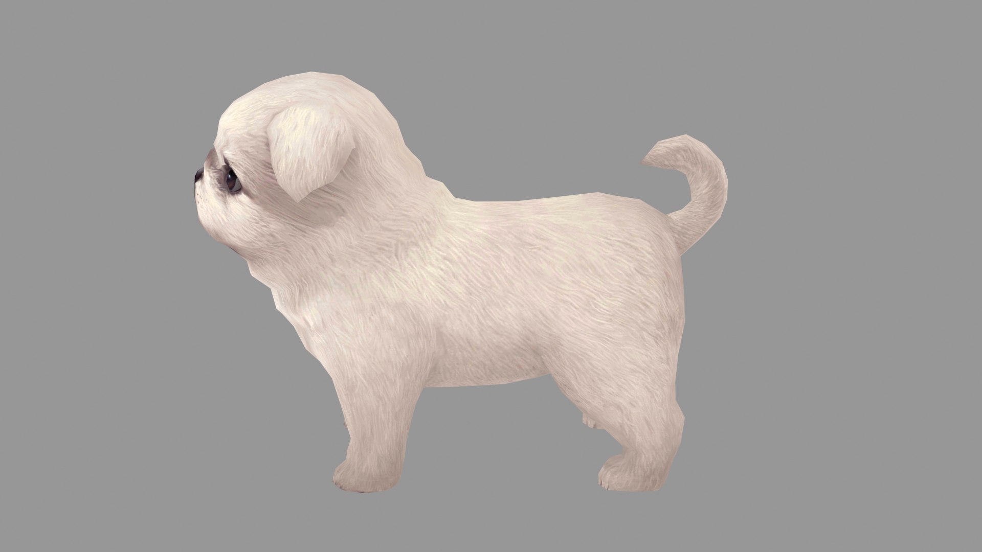 Cartoon Pet Puppy - White Paco - Baby Dog Model - TurboSquid 1717792