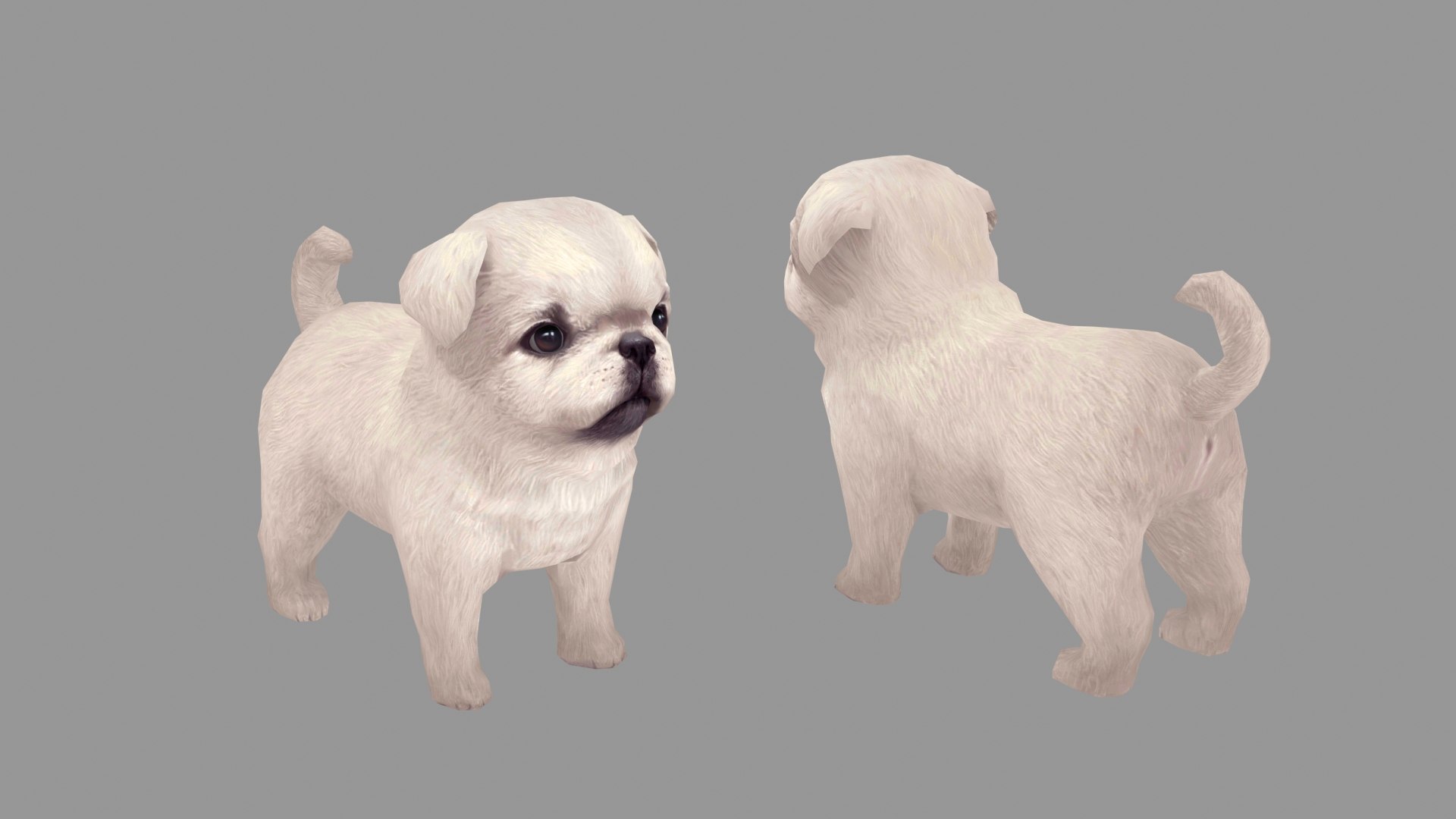 Cartoon Pet Puppy - White Paco - Baby Dog Model - TurboSquid 1717792