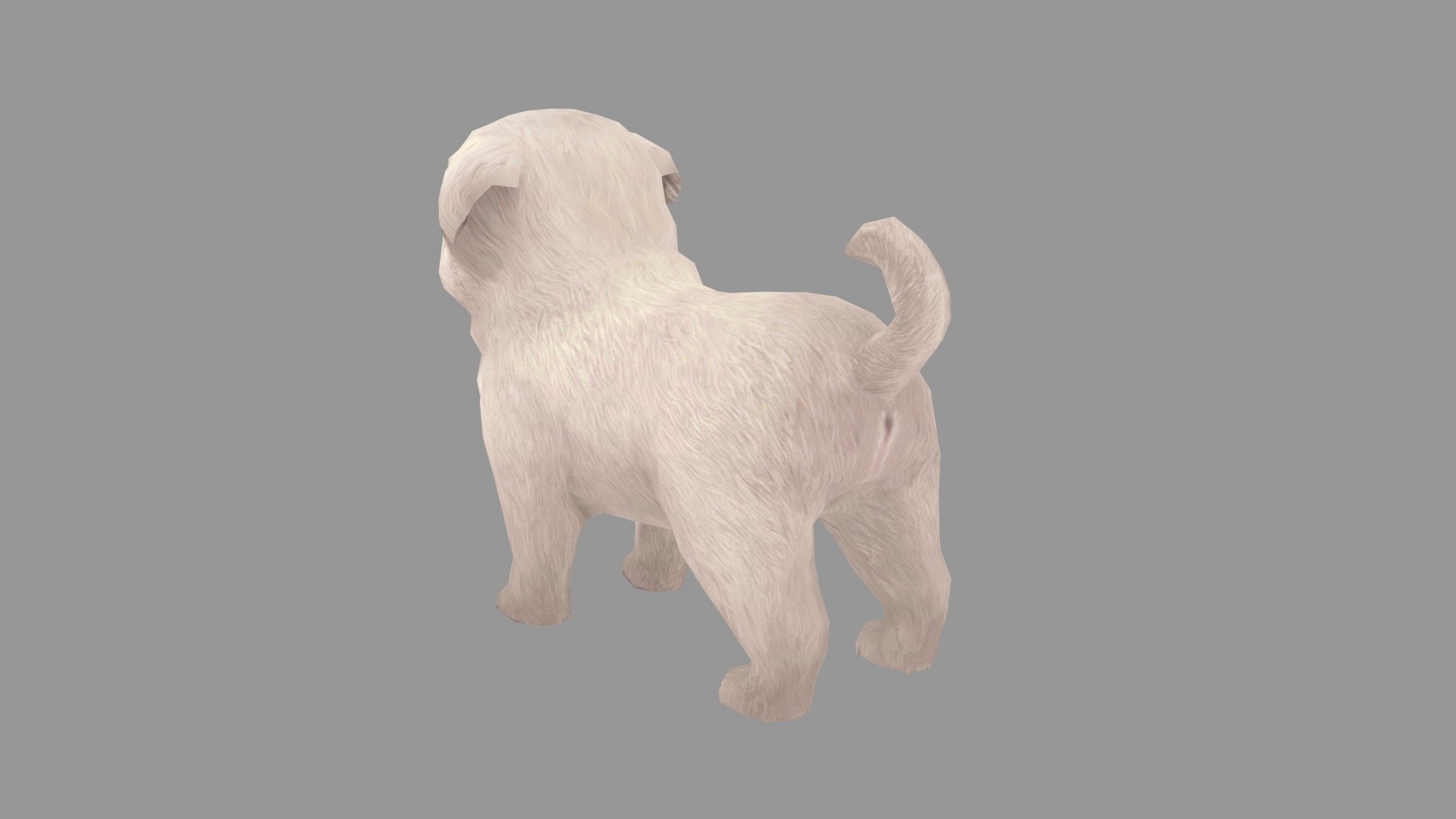 Cartoon Pet Puppy - White Paco - Baby Dog Model - TurboSquid 1717792