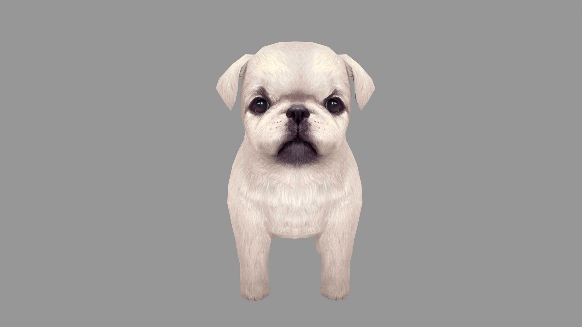 Cartoon Pet Puppy - White Paco - Baby Dog Model - TurboSquid 1717792