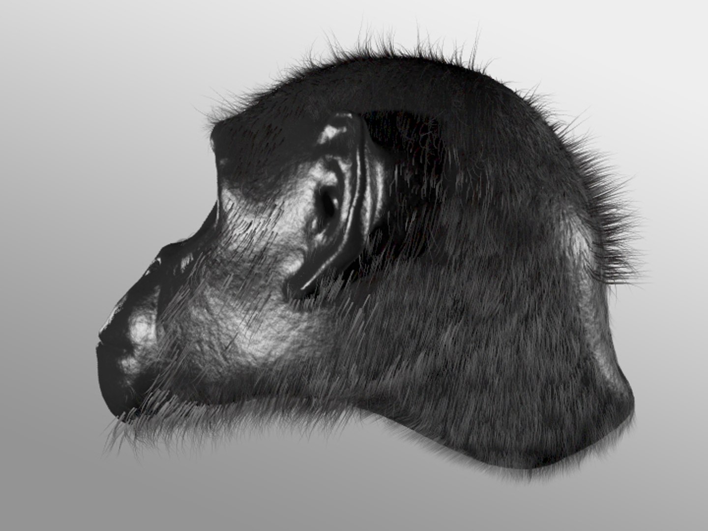 Obj Ape Head