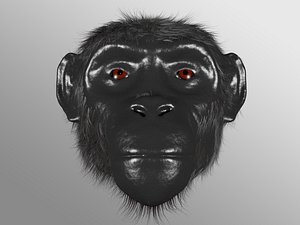 Download Free & Premium Ape 3D Models | TurboSquid