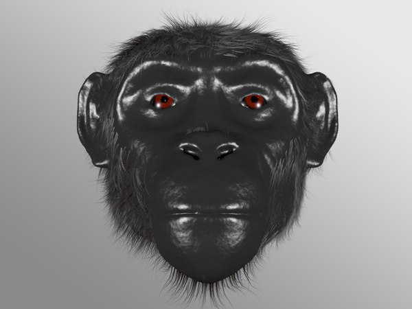 3d model gorilla primate