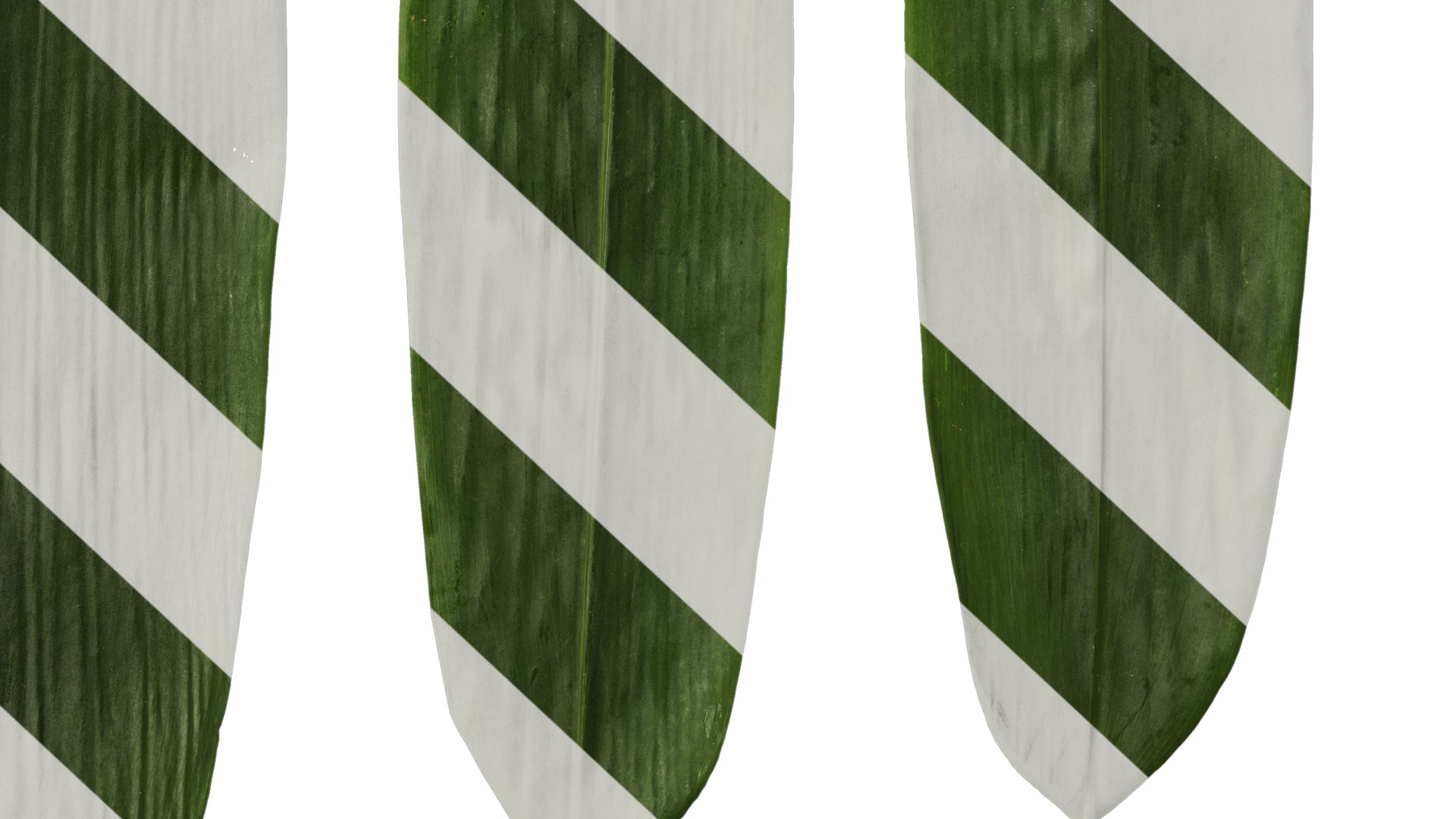 Anydrafts Sasa Pygmaea Leaf 02 Textures 3D - TurboSquid 2345483