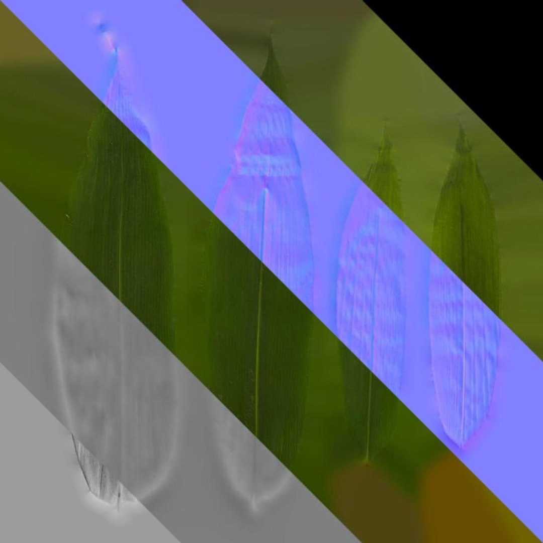 Anydrafts Sasa Pygmaea Leaf 02 Textures 3D - TurboSquid 2345483