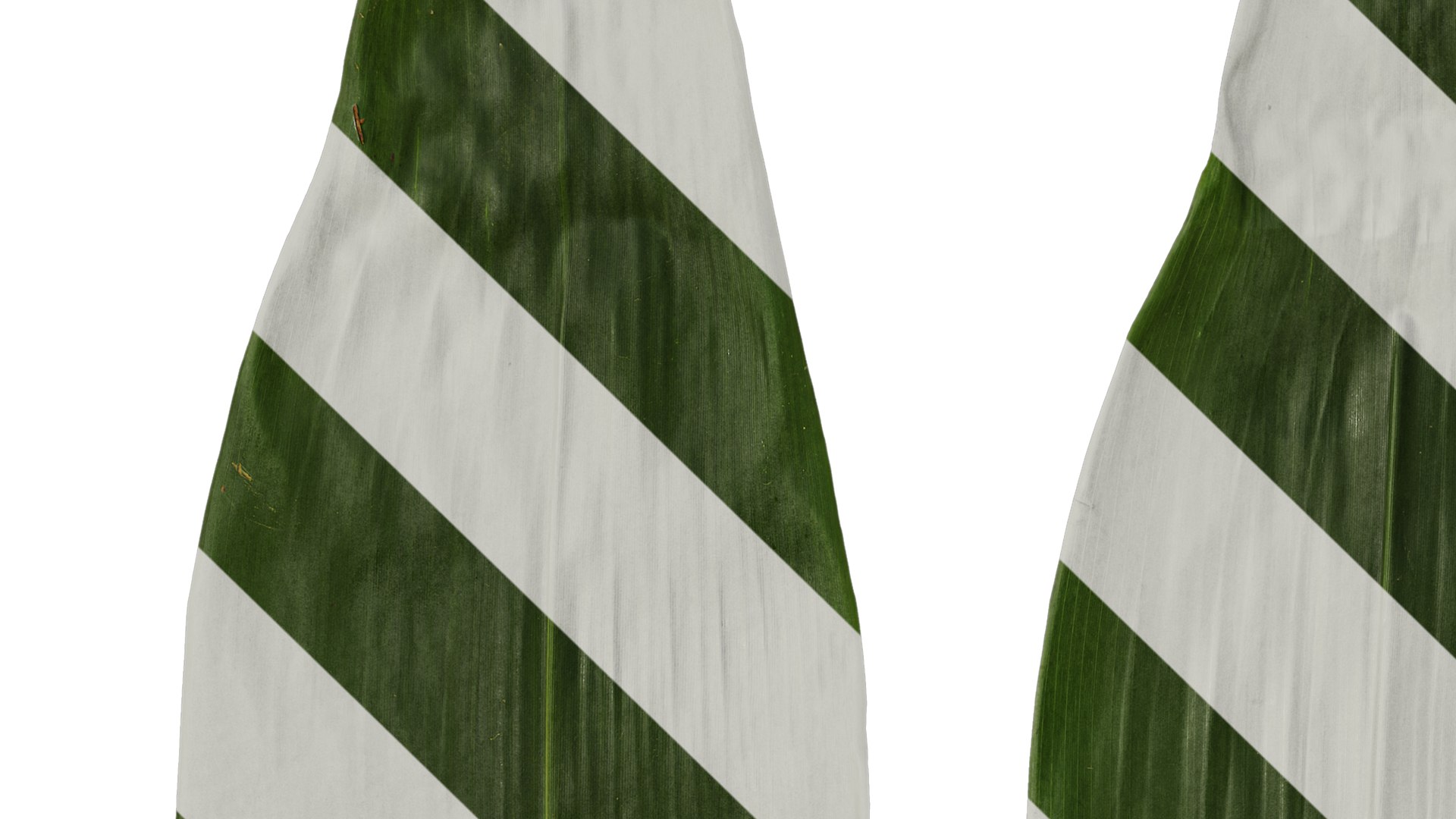 Anydrafts Sasa Pygmaea Leaf 02 Textures 3D - TurboSquid 2345483