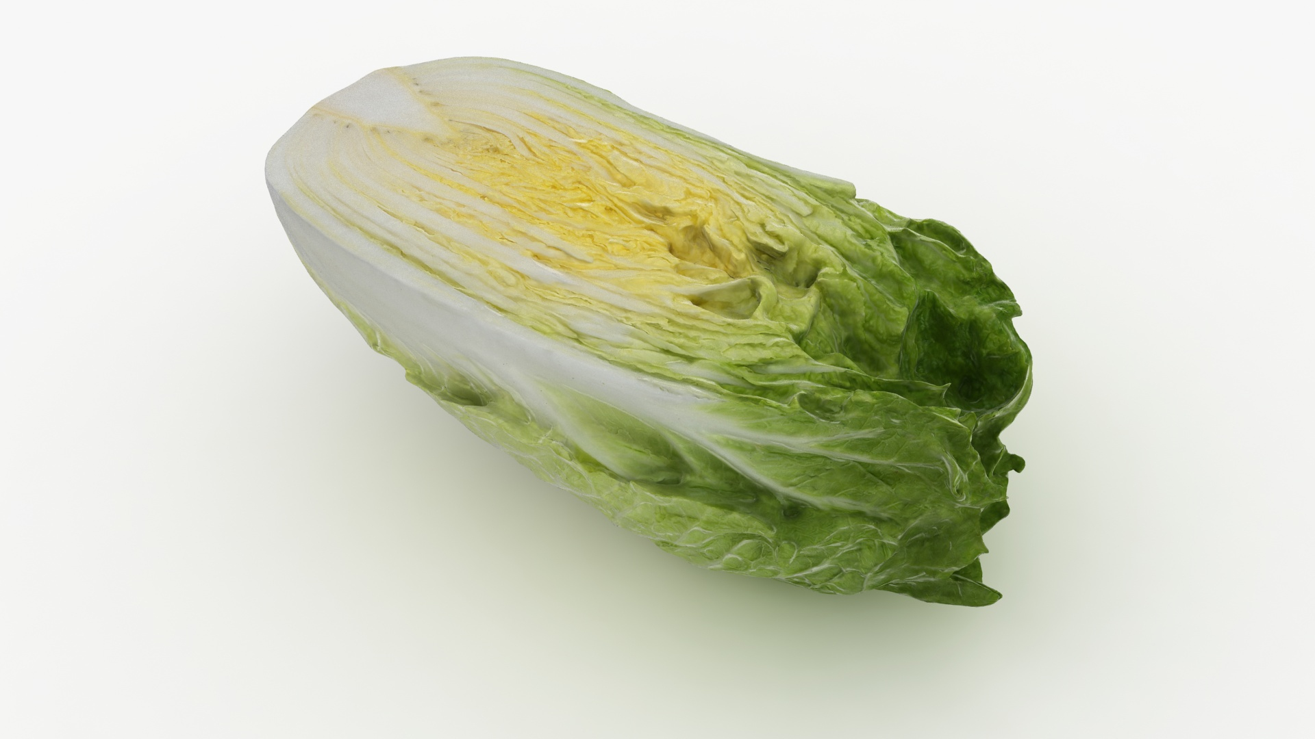 Chinese cabbage half model - TurboSquid 1688427
