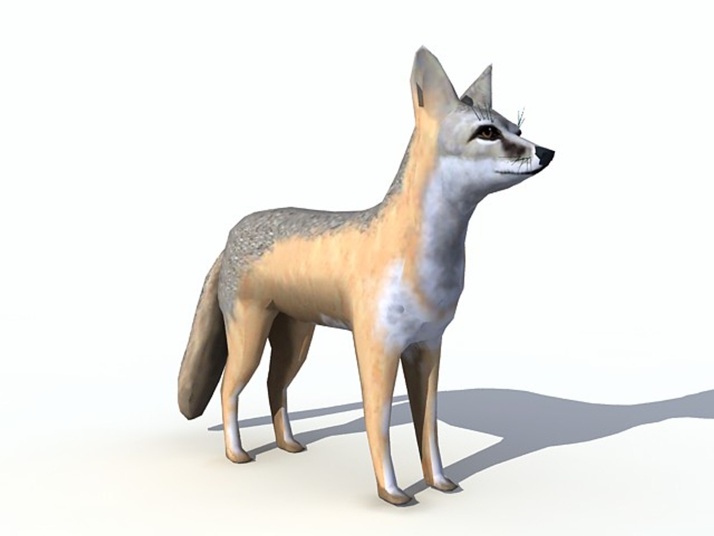 3d model swift fox