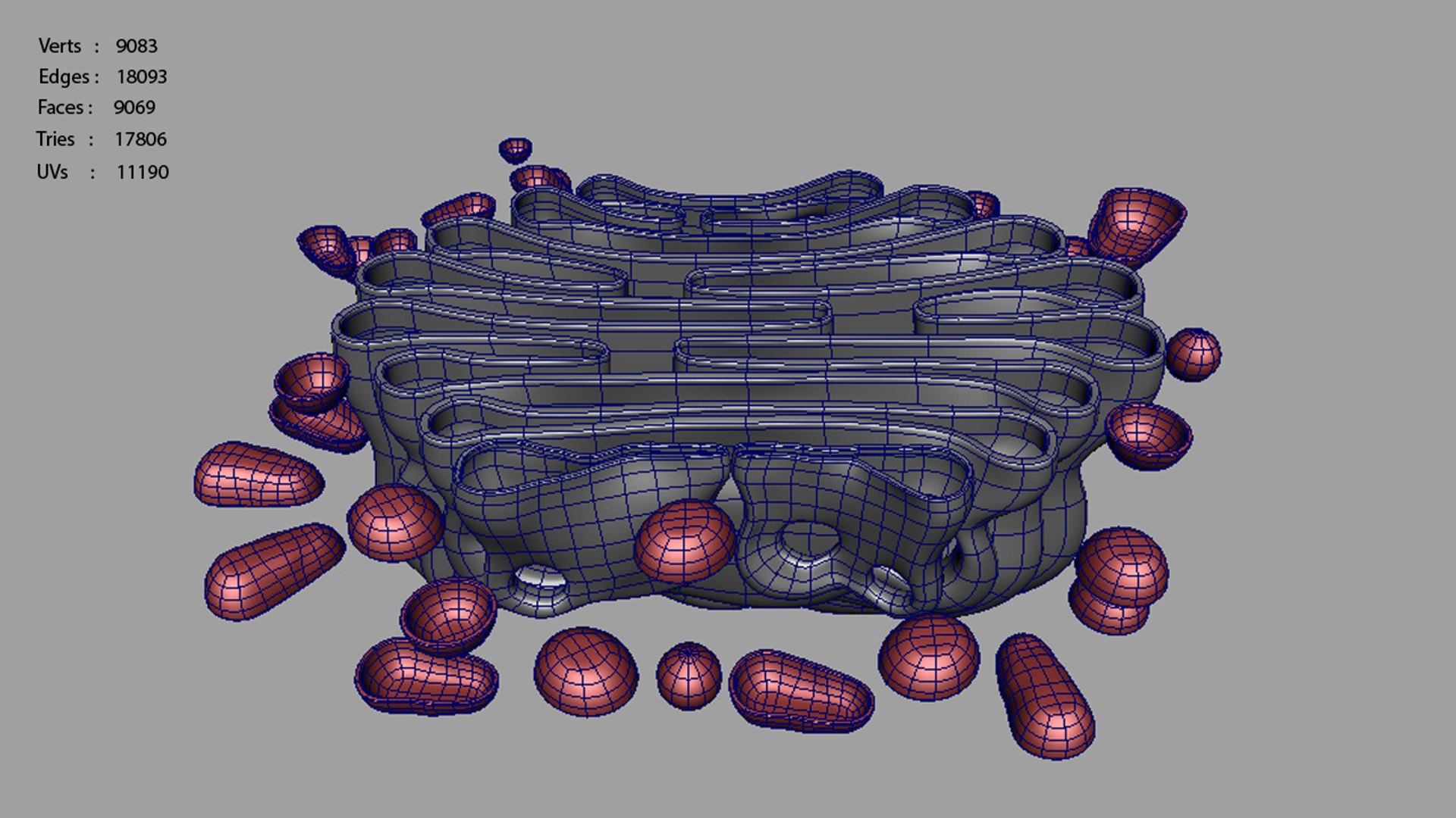 3d Golgi Apparatus Model