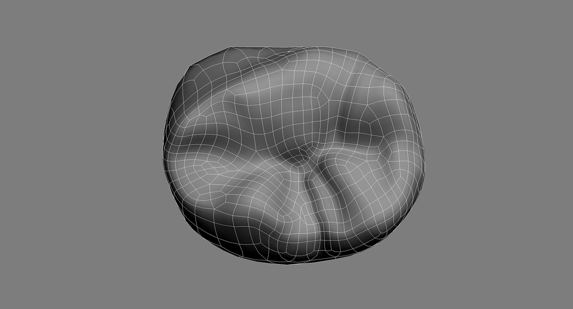 Primary Molar Lower 3d Max