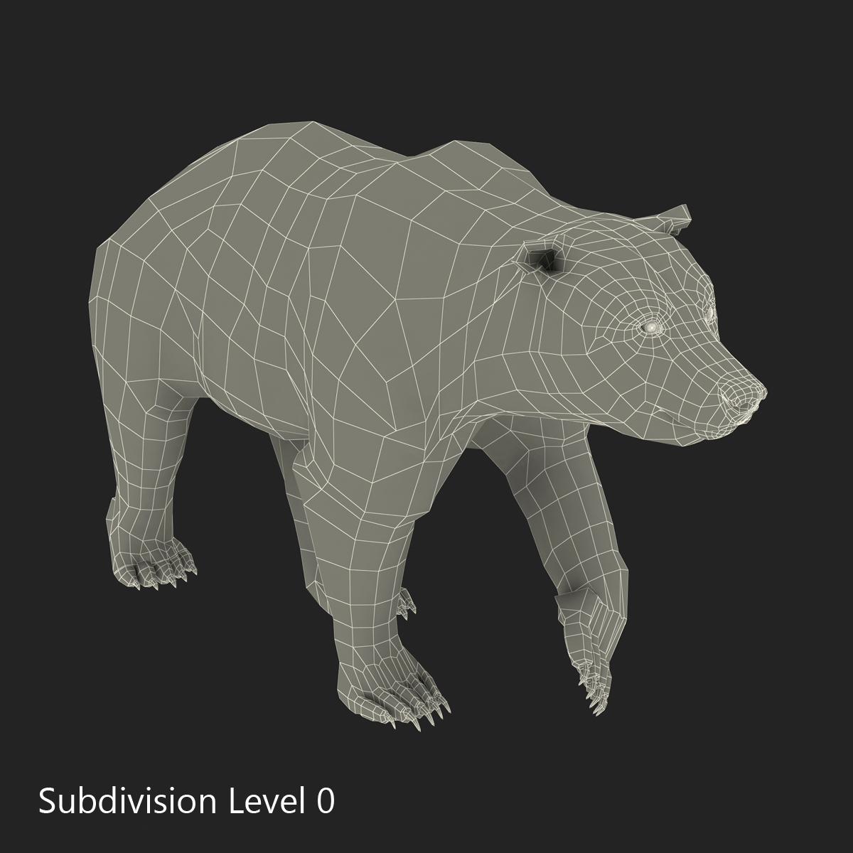 brown bear fur pose 3d model