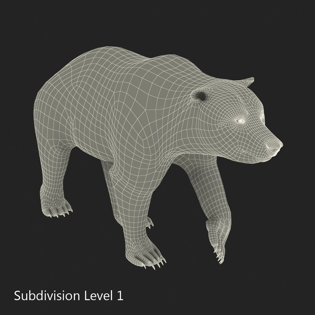 Brown Bear Fur Pose 3d Model